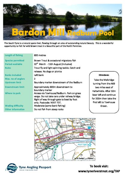 Bardon Mill Redburn Pool | Tyne Rivers Trust