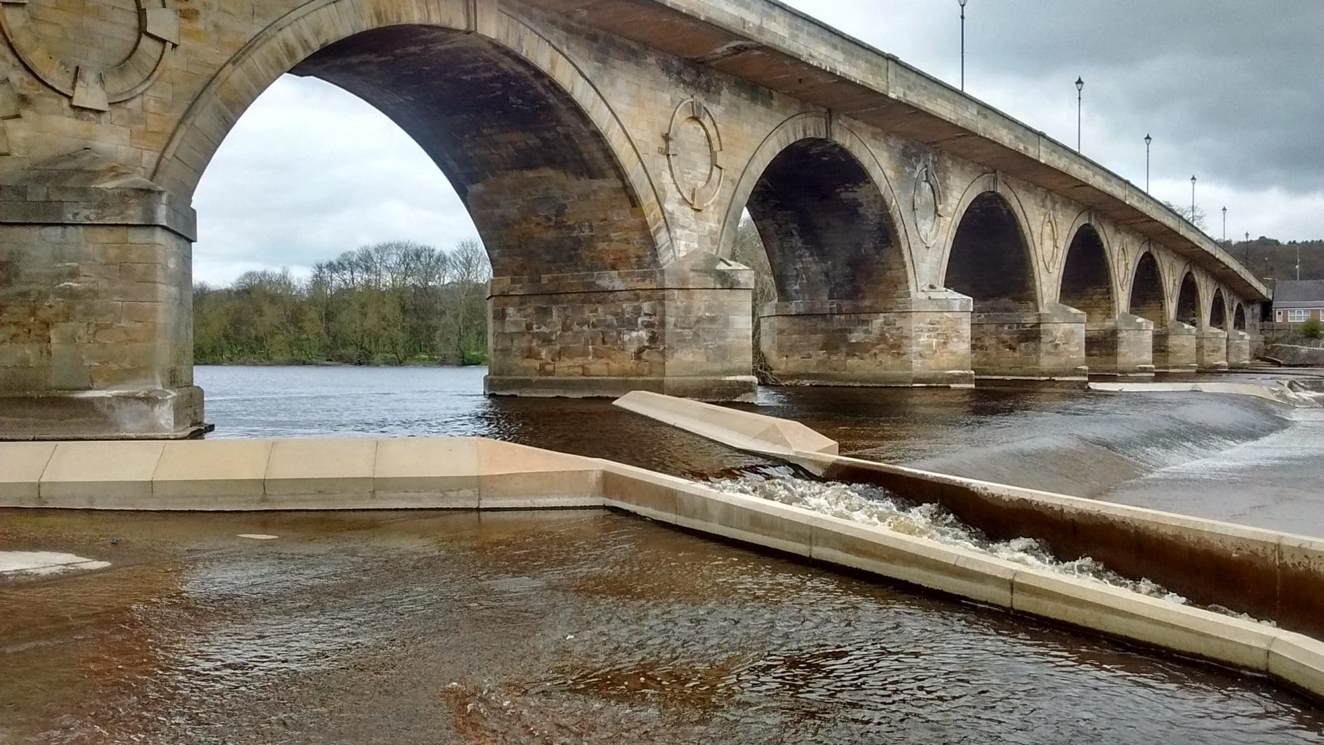Fisheries Management | Tyne Rivers Trust