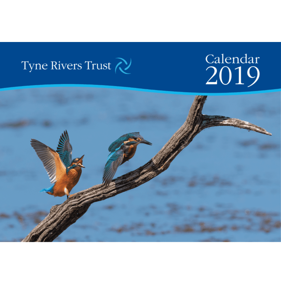 Calendar front cover square | Tyne Rivers Trust