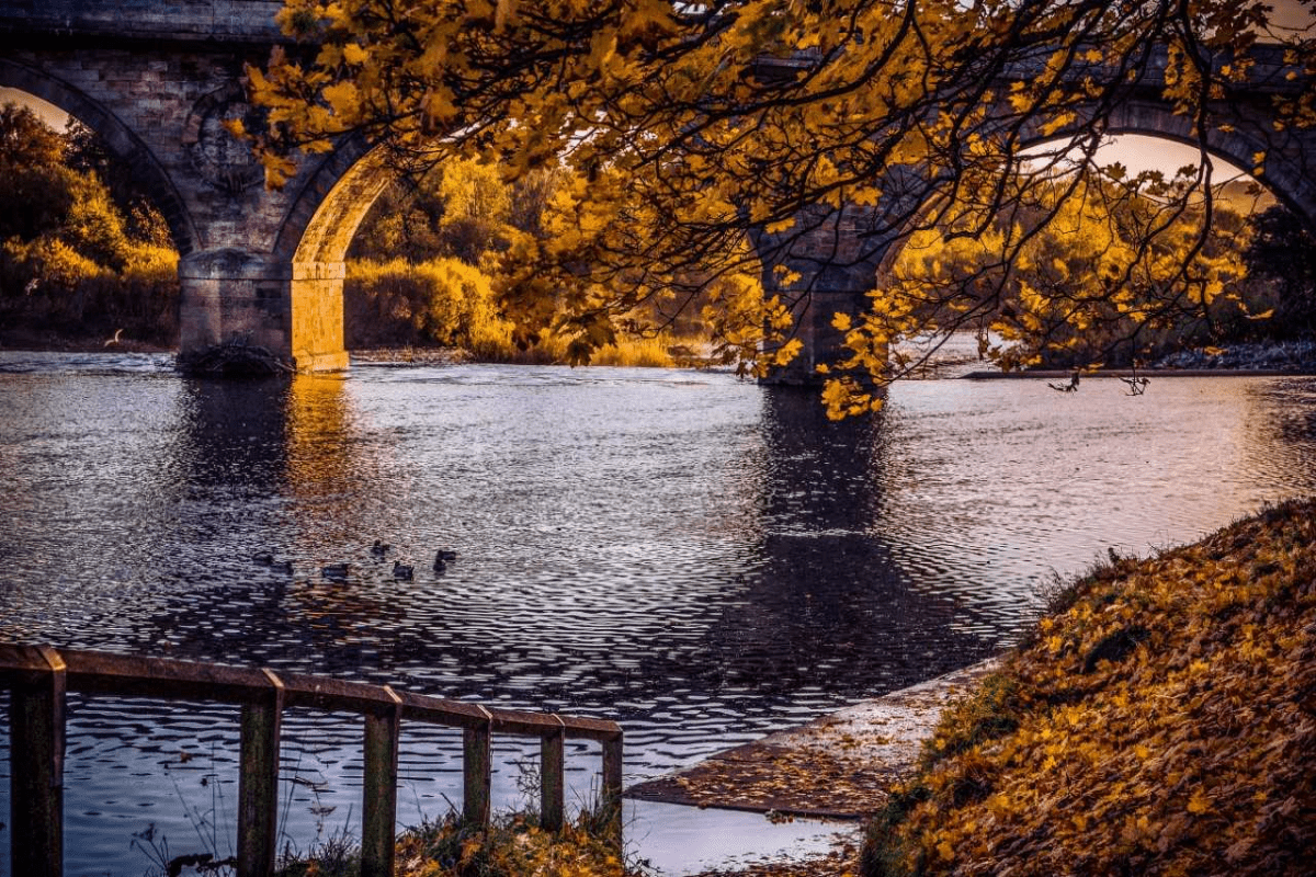 October - Autumnal Hexham Bridge by Kay Nixon | Tyne Rivers Trust