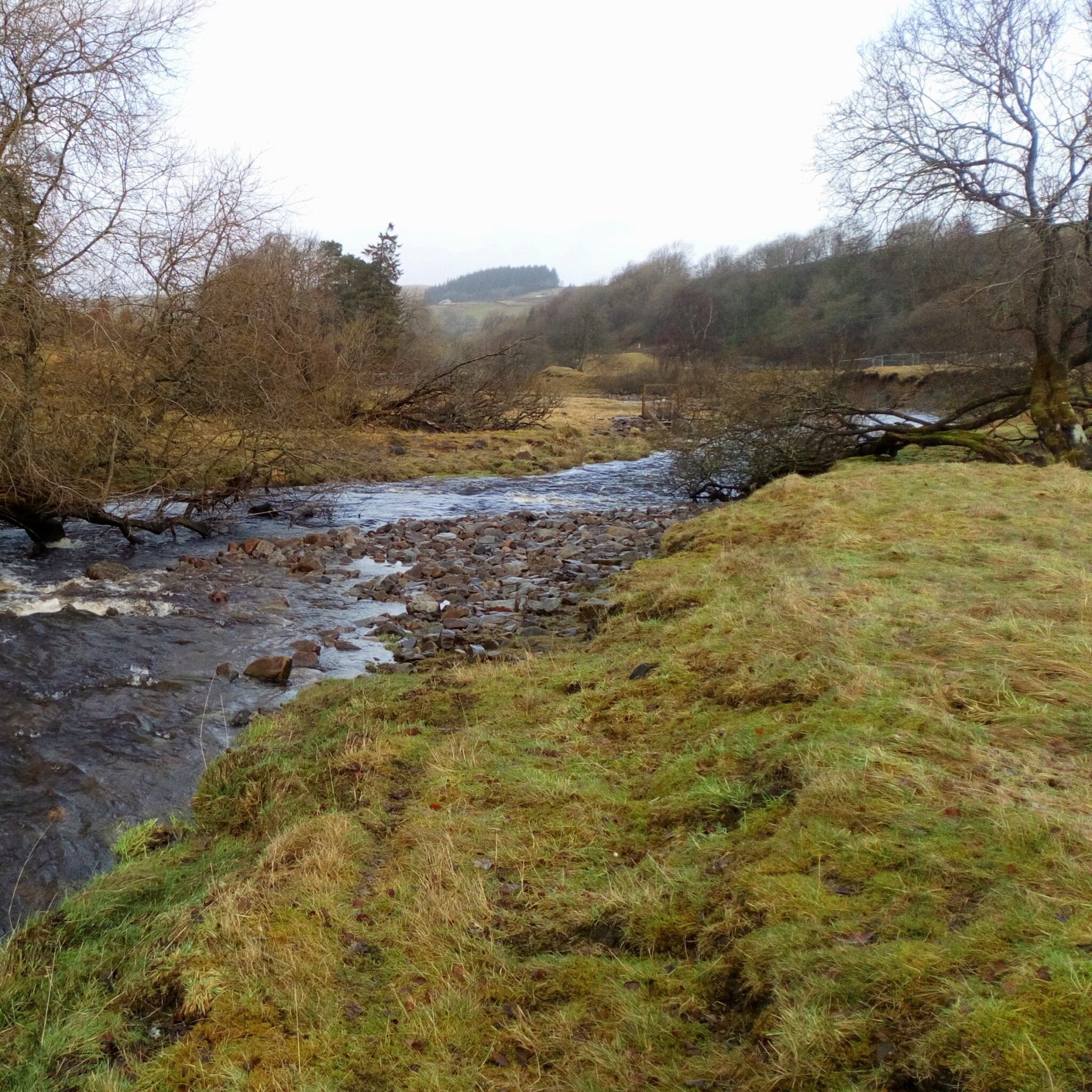 OUR WORK ON THE NENT | Tyne Rivers Trust