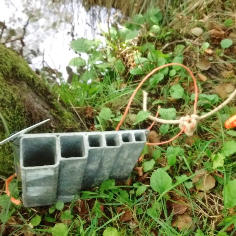 A SAFE HAVEN FOR NATIVE CRAYFISH | Tyne Rivers Trust